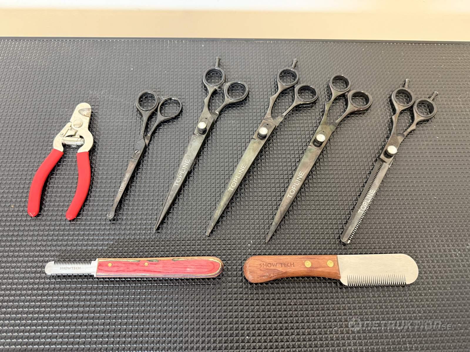 Netauktion - Saxar, Top Line